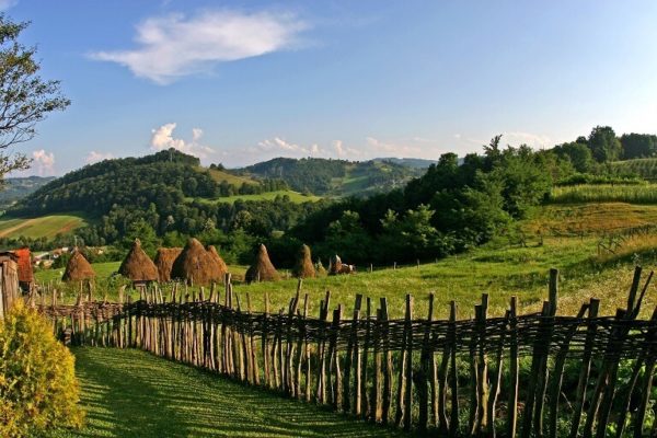 Dragacevo_credits_D.Bosnic | Luminalis